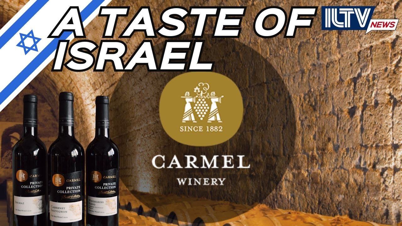 Inside Carmel Winery: The Secret Behind Israel’s Most Iconic Wines ...
